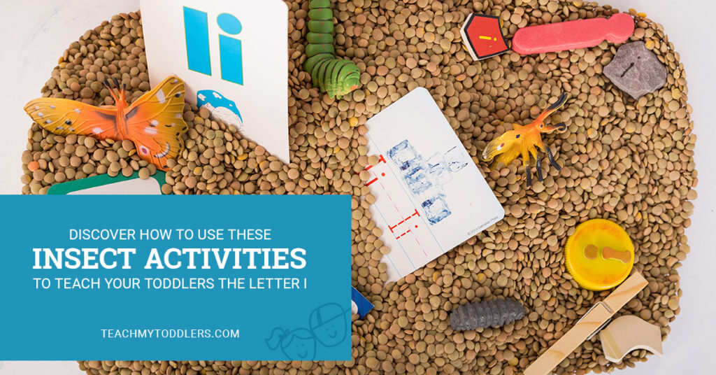 Teach My Toddlers - Teach My Toddlers